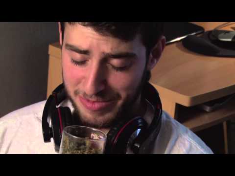 Teach Your Children About Good Marijuana, A High Times PSA