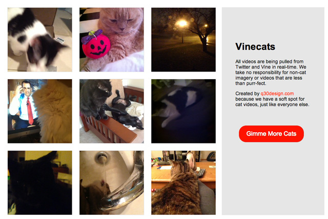 Vinecats, An Unmoderated Stream of Cat Videos on Vine & Twitter