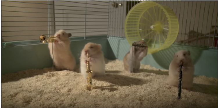 The Clever Hamsters Jazz Band