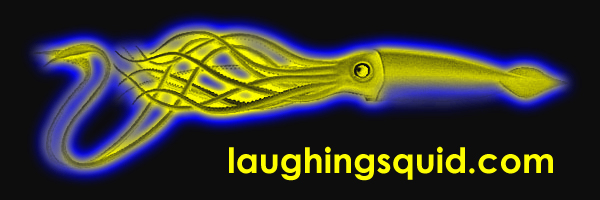 The History of the Laughing Squid Logo