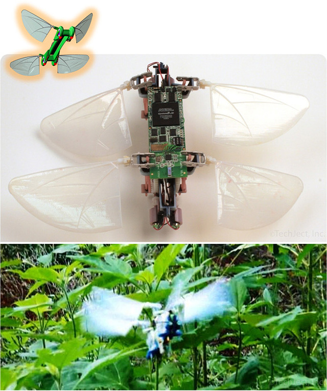 Robot Dragonfly, Micro Flying Insect That Gathers & Relays Information