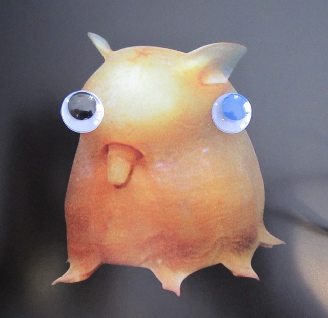 Sea Creatures With Googly Eyes