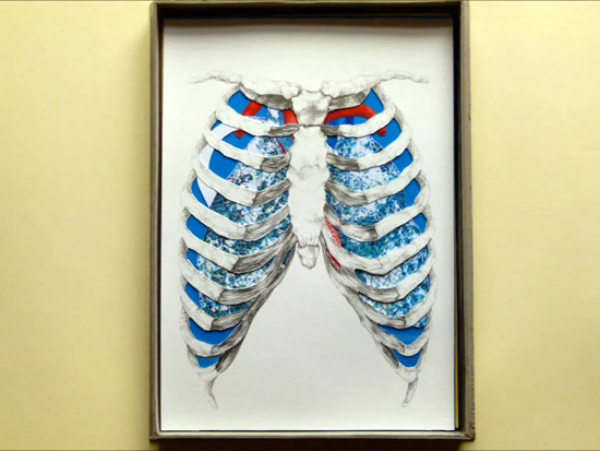 Anatomy Box, Paper Art Children's Book Guides Reader Through Human Anatomy