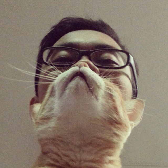Cat Beards, A Photo Meme Where People Place a Cat in Front of Their ...