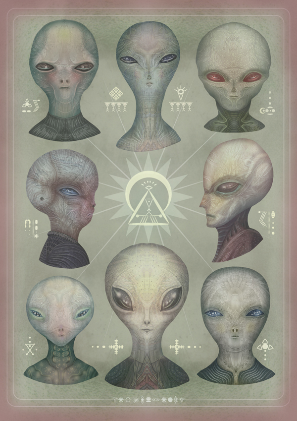 The Greys, Animated Portrait Illustrations of the Grey Alien Species by ...