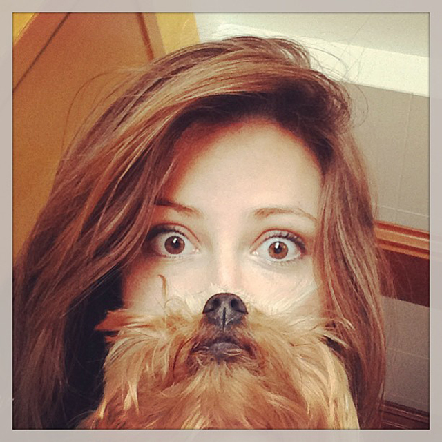 Dog Beards, A Canine Equivalent of the Photo Meme 'Cat Beards'