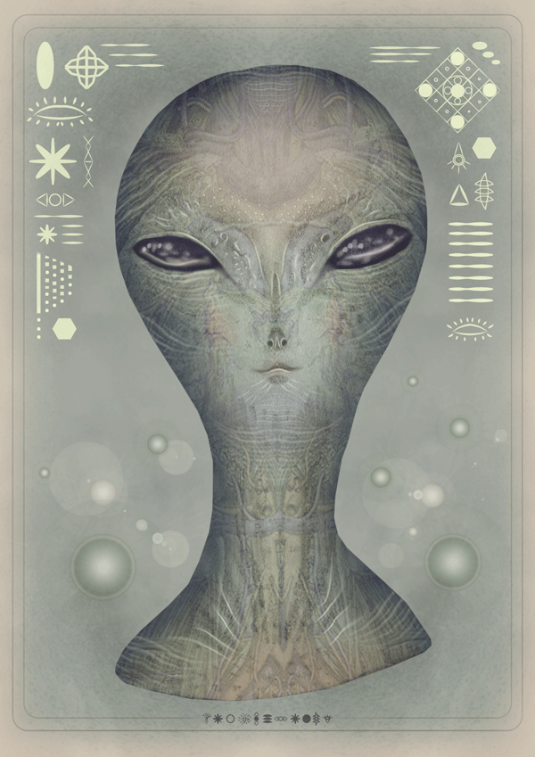The Greys, Animated Portrait Illustrations of the Grey Alien Species by ...