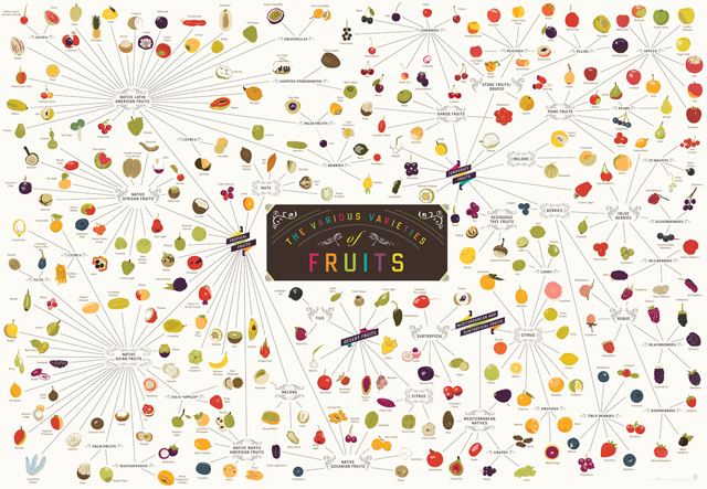 The Various Varieties of Fruits by Pop Chart Lab