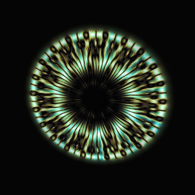 Aguasonic Acoustics, Beautiful Visualizations of Animal Sounds