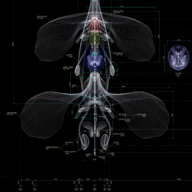 Inorganic Flora, A Collection of Detailed Botanical Blueprints