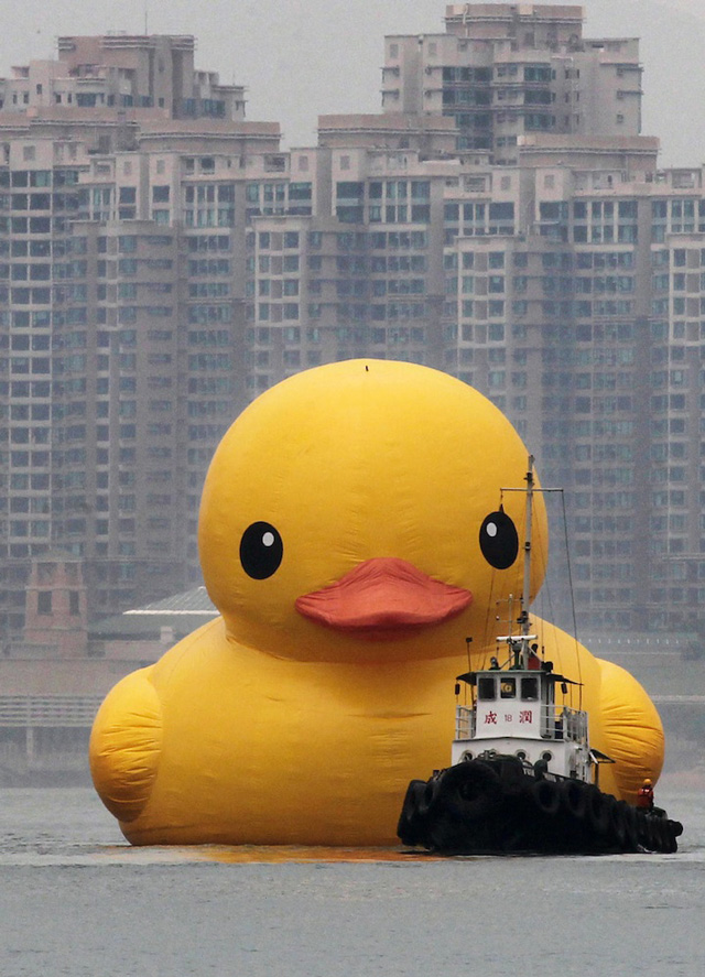 Florentijn Hofman's Giant Inflatable 'Rubber Duck' Floats to Hong Kong