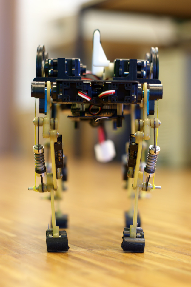 Cheetah-Cub Robot, A Small Quadruped Robot Designed After the Legs of a Cat