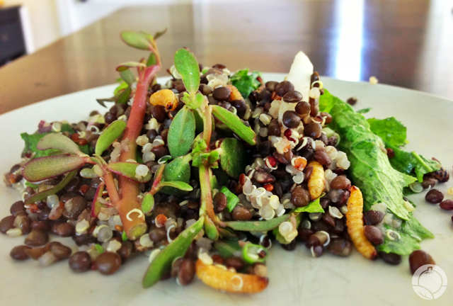 What to Eat in a Zombie Apocalypse