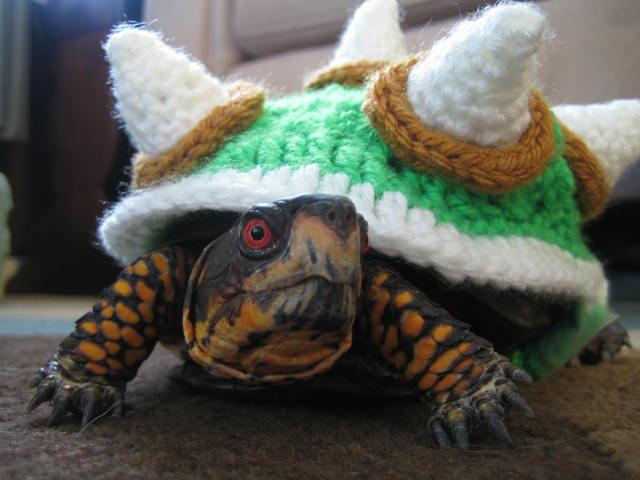 How To Transform an Ordinary Turtle Into 'Super Mario Bros.' Villain Bowser