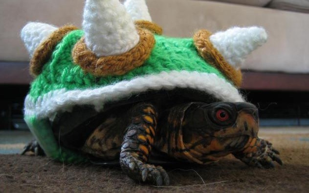 How To Transform an Ordinary Turtle Into 'Super Mario Bros.' Villain Bowser