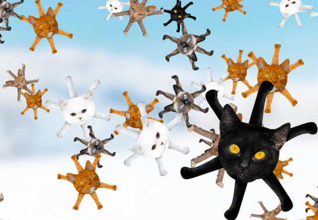 Catflakes, A Whimsical Web Page of Drifting Cat Snowflakes