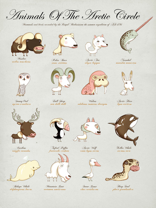 The Children’s Guide To Natural History, Art Prints Featuring Animals ...