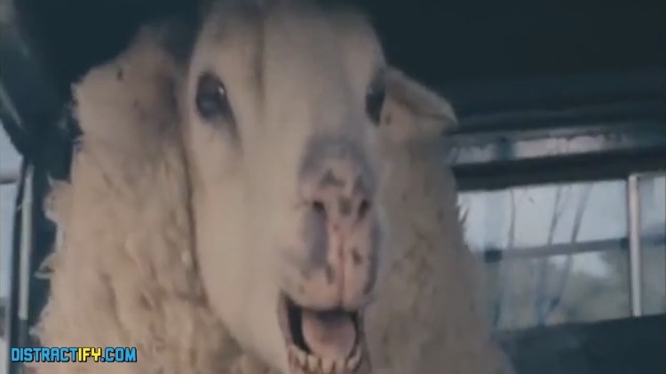 A Compilation of Funny Movie Death Scenes