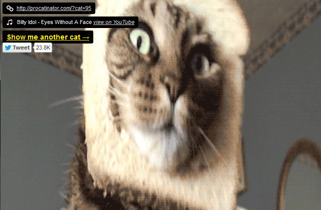 Procatinator, A Website That Pairs Funny Cat GIFs With Appropriate Songs