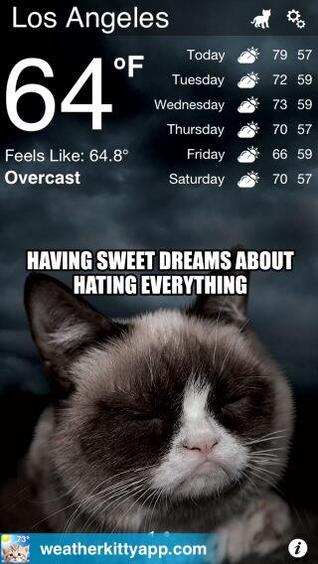 Weather Kitty, A Weather App Starring Adorable Kittens & Grumpy Cat