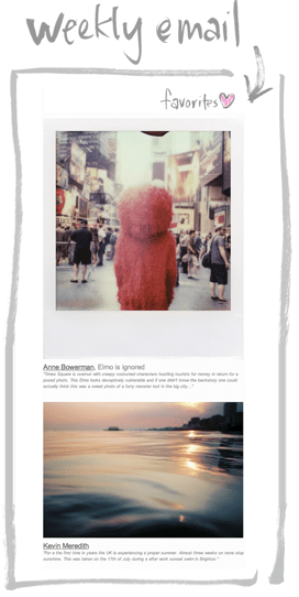 Favorites, A Weekly Photo Email Curated by Heather Champ