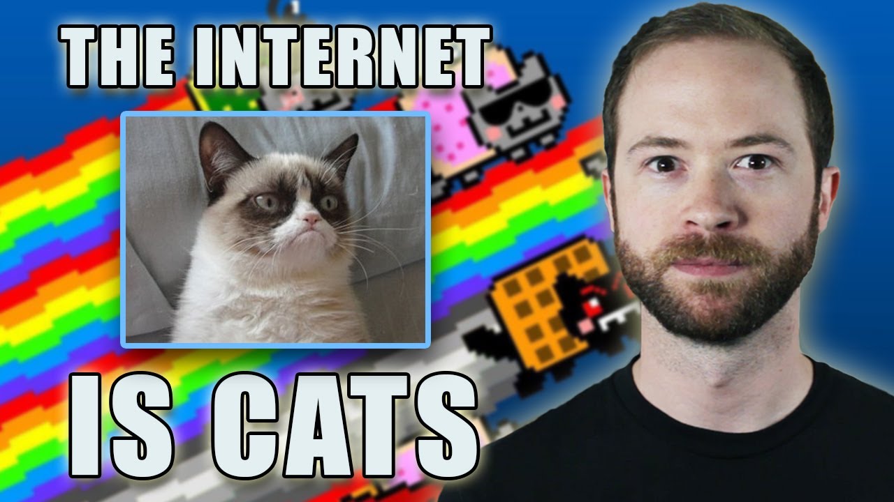 Is the Internet Cats? by PBS Idea Channel