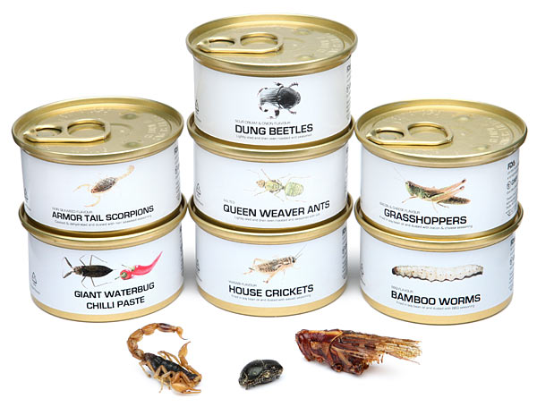 Edible Bugs Gift Pack, Seven Flavored Bug Snacks in Tins