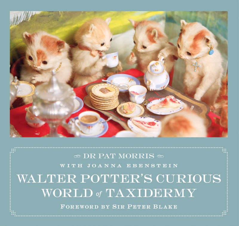 Book & Documentary on the Curious Victorian Taxidermy of Walter Potter