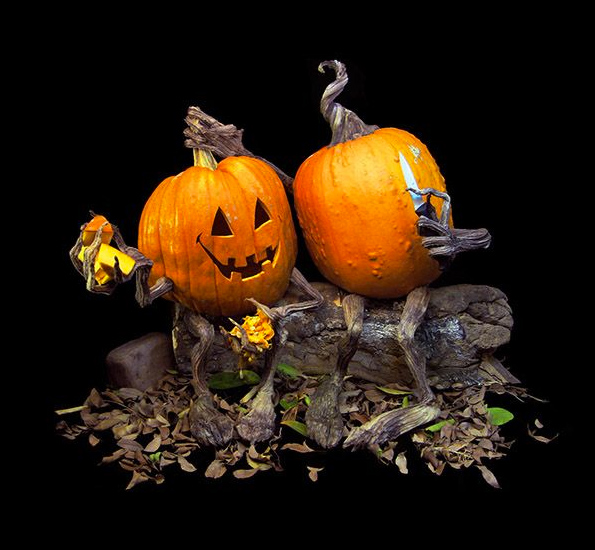 Posable Vine Arms and Legs to Decorate Pumpkins
