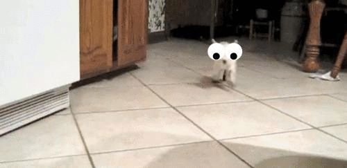 Googlyify, A Tool for Adding Animated Googly Eyes to GIFs