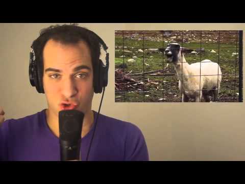 Jonathan Mann Sings a Song About the Viral Videos of 2013