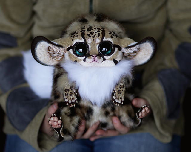 Realistic Handmade Fantasy Creature Dolls