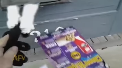 Ferocious Cat Battles Mailman Through the Mail Slot