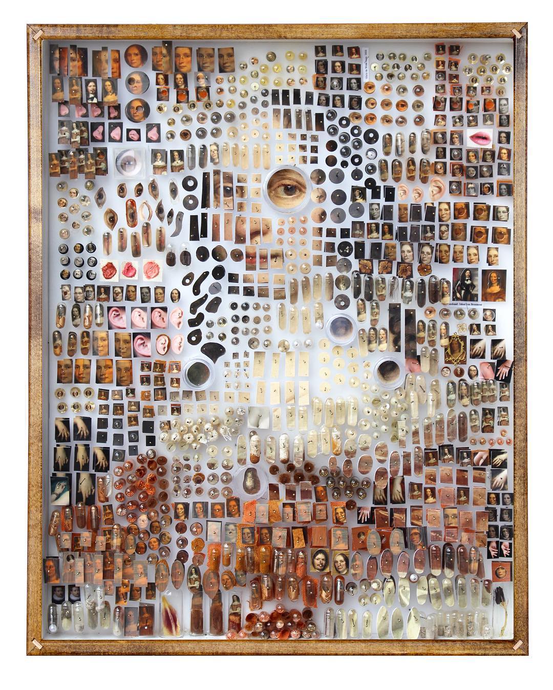 Dutch Master Paintings Recreated as Photographic Specimen Art