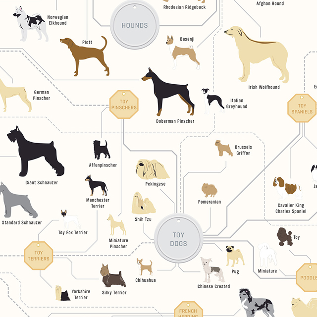 The Diagram of Dogs by Pop Chart Lab, An Art Print Featuring 181 Dog Breeds