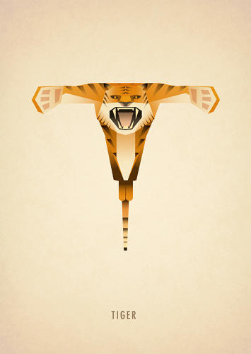 Illustrated 'Animal Alphabet' by Marcus Reed