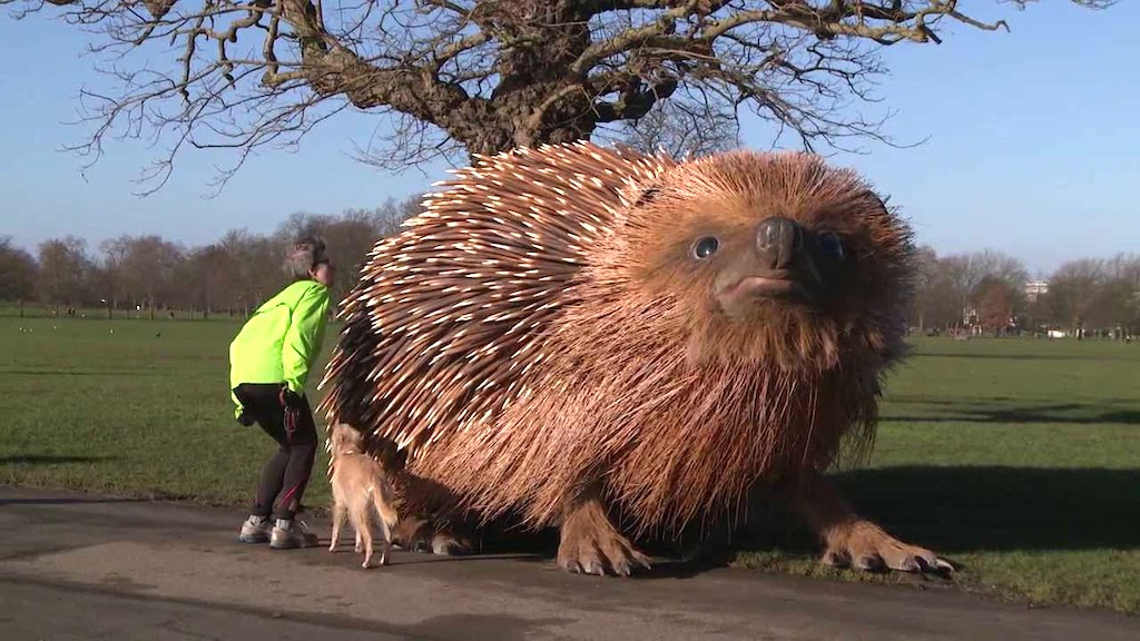 Giant Hedgehog Promotes David Attenborough Series