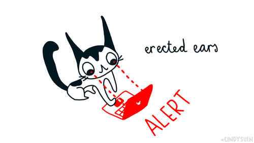 Animation Illustrating How Cats Communicate Their Feelings Through Body ...