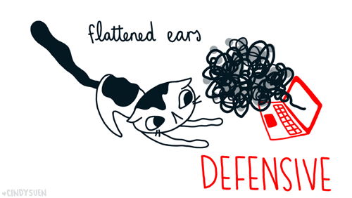 Animation Illustrating How Cats Communicate Their Feelings Through Body ...