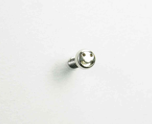A Screw With a Smiley Face on the Head