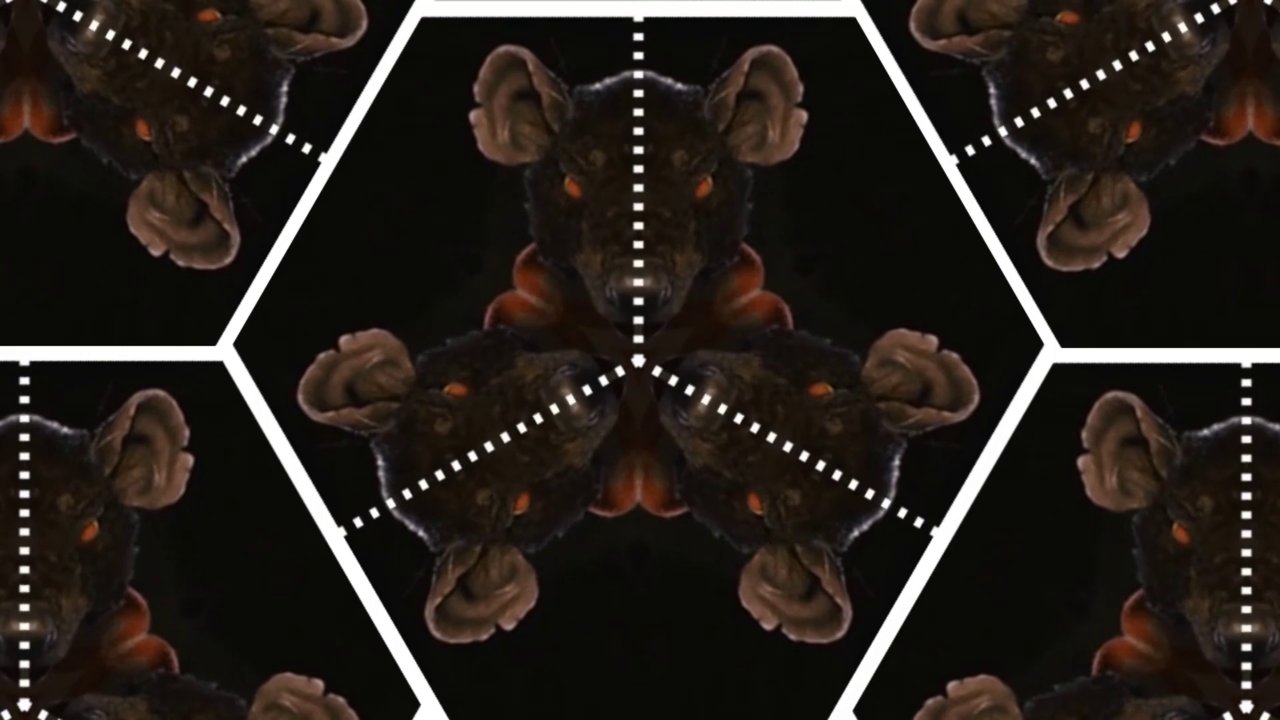 Wes Anderson // Kaleidoscoped, Wonderful Reflective Patterns Based on ...