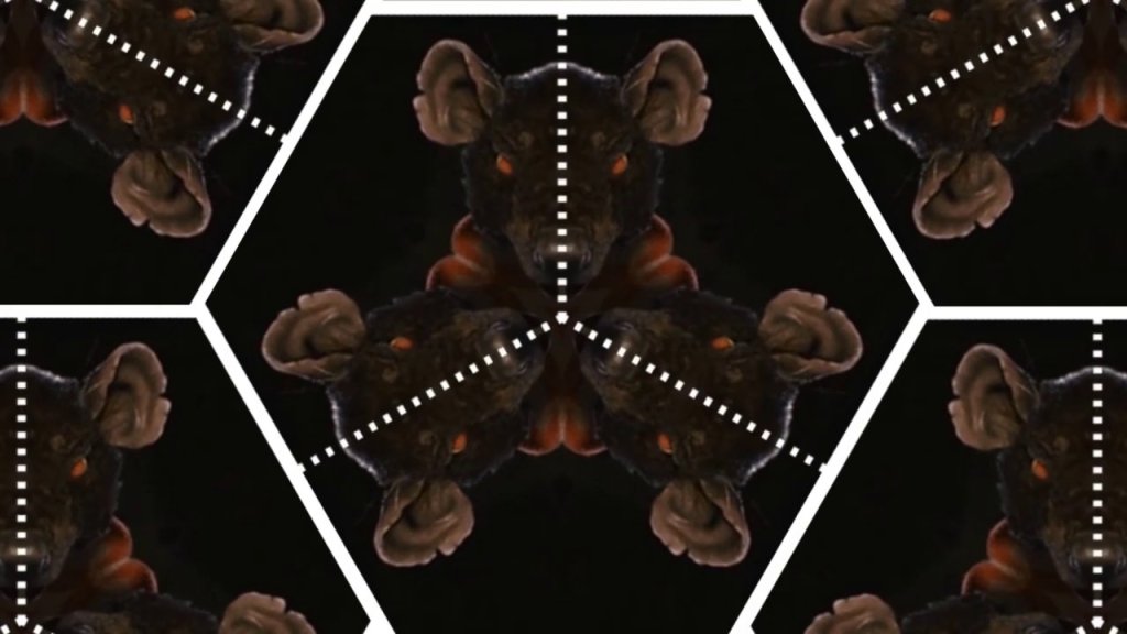 Wes Anderson // Kaleidoscoped, Wonderful Reflective Patterns Based on ...