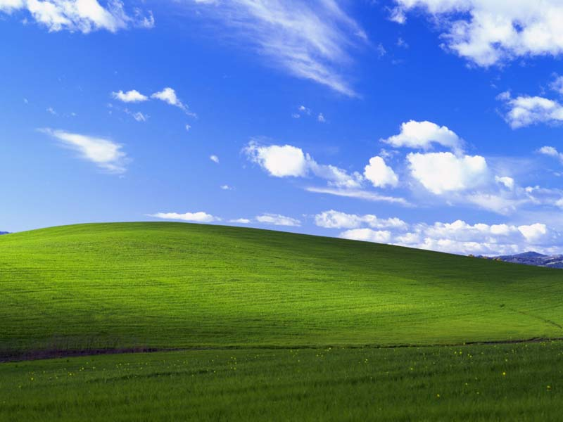 The Story Behind the Windows XP 'Bliss' Wallpaper