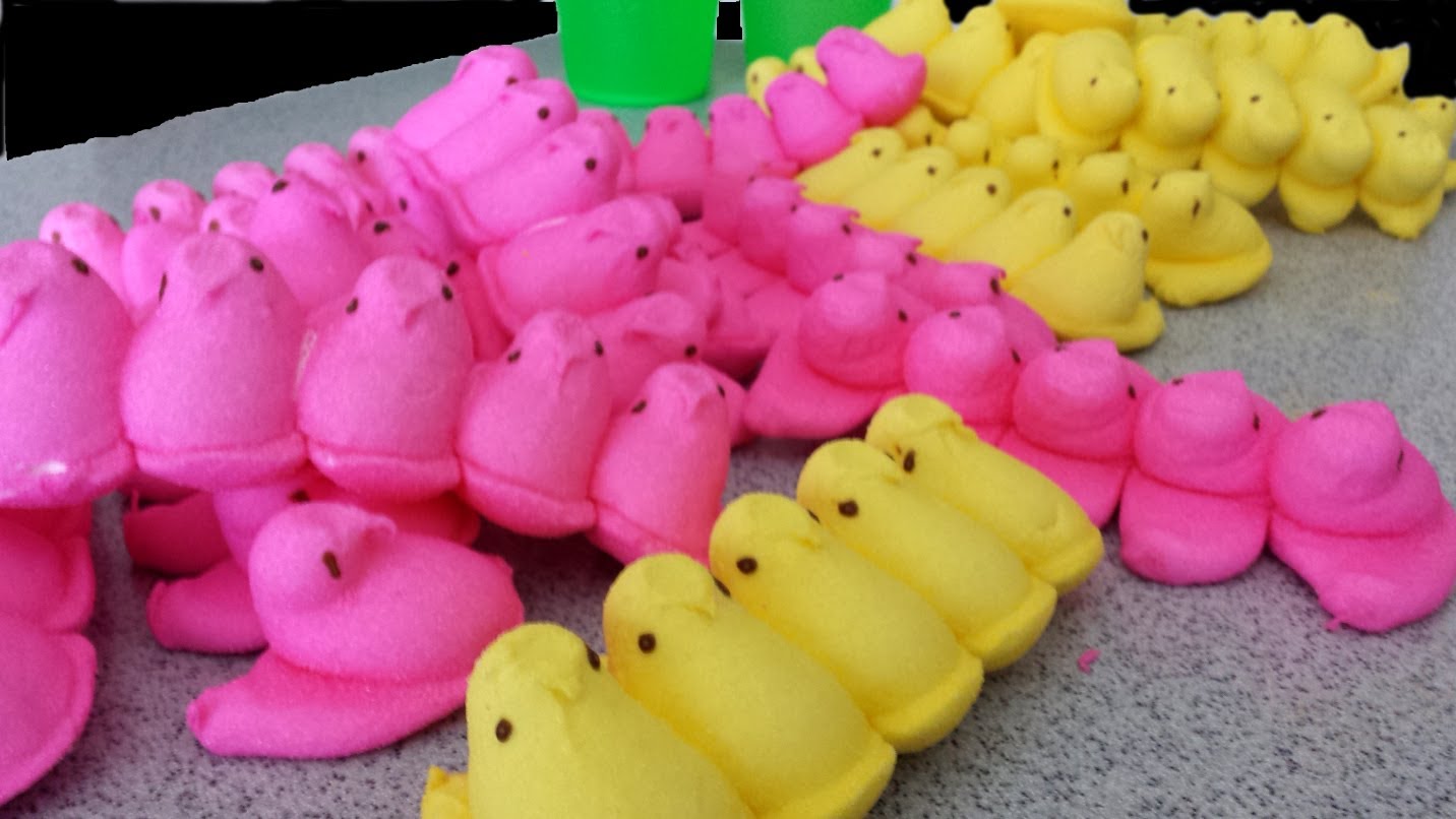 Competitive Eater Consumes 100 Marshmallow Peeps In Just Over Two ...