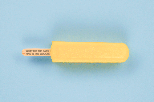 Schadenfreezers, Deliciously Mean-Spirited Popsicle Stick Jokes