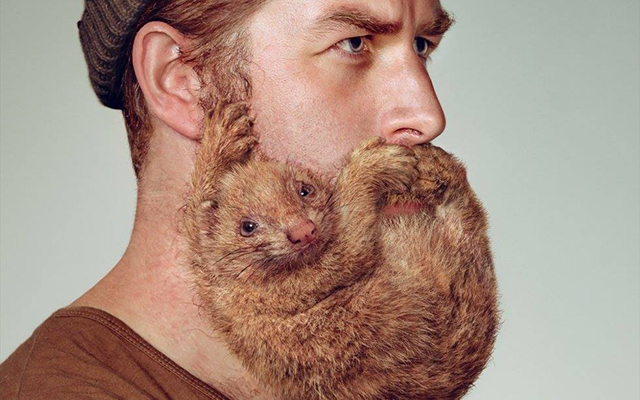 Free Your Skin, An Ad Campaign for Schick NZ Featuring Men with Furry ...