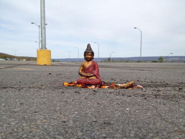 Pothole Photo Contest in Scranton Encourages Locals to Decorate ...