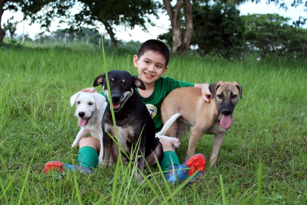 9-Year Old Boy (With Help From His Dad) Opens A No-Kill Animal Shelter ...