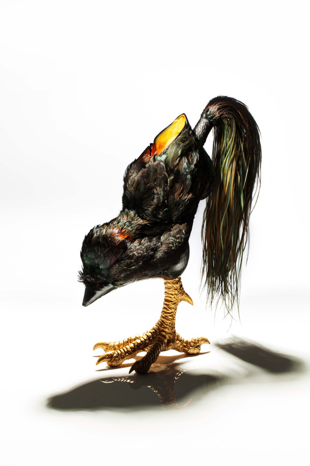 "Bird-Witched", A Fantastic Collection of Bird-Themed Stiletto Heel ...