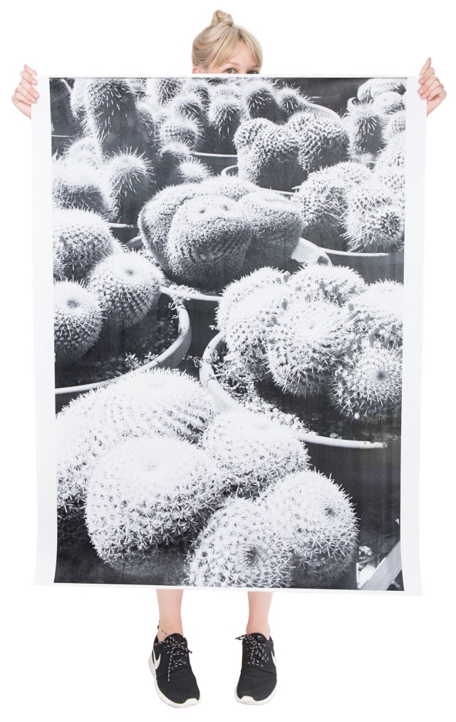 Engineer Prints, A Custom Photo Printing Service Using Printers ...